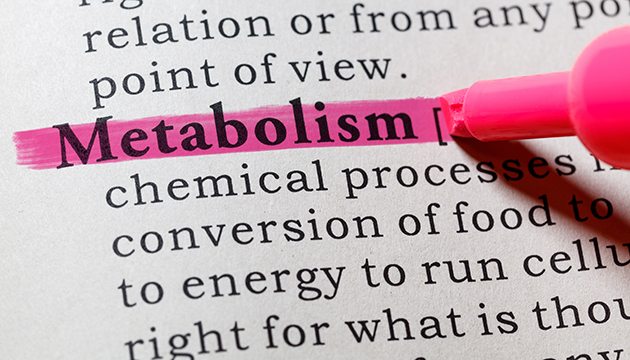 Metabolism: What is it, and how does it affect our bodies? | PeaceHealth