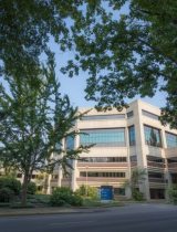 Obstetrics and Gynecology | PeaceHealth