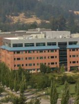 Vascular Care and Surgery | PeaceHealth